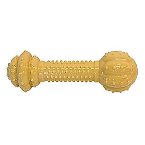Nylabone Barbell Power Chew Durable Dog Toy Medium up to 35 lbs.