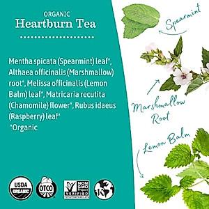 Earth Mama Organic Heartburn Tea | Pregnancy-Safe Soothing Herbal Blend with Marshmallow Root, Lemon Balm & Chamomile, 16 Teabags Per Box (3-Pack)