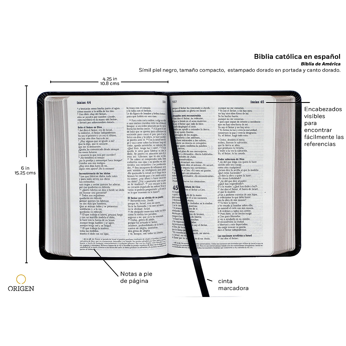 Biblia Católica en español. Símil piel negro, tamaño compacto / Catholic Bible. Spanish-Language, Leathersoft, Black, Compact