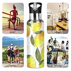Water Bottle with Straw Lid Leak Lemon Yellow Limon Tropical Fruit Stainless Steel Metal Double Wall Insulated Thermos Vacuum Flask for Cold Hot Drinking for Sports, Camping, Gym, Yoga