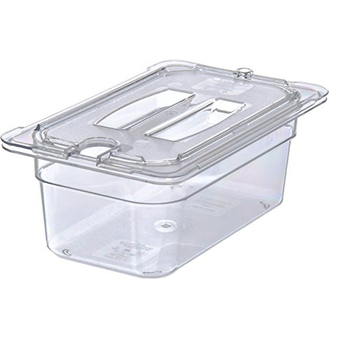 Carlisle FoodService Products Plastic Food Pan 1/4 Size 4 Inches Deep Clear