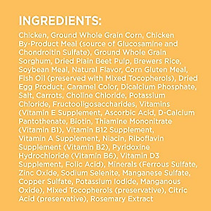 IAMS Smart Puppy Large Breed Dry Puppy Food with Real Chicken, 30.6 lb. Bag