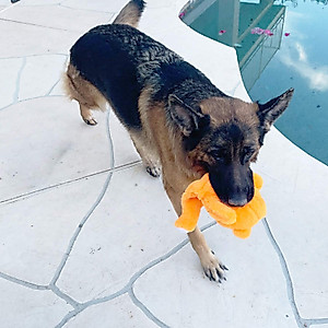 Jalousie 5 Pack 12'' Dog Toys Assortment Value Bundle Dog Plush Toys Dog Squeak Toys12 Inch Each Dog Squeaky Toys Assortment for Medium to Large Breeds - Include Raccoon Elk Hippo Fox Sloth