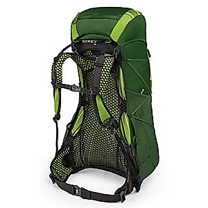 Osprey Exos 38 Men's Backpacking Backpack, Tunnel Green, Large