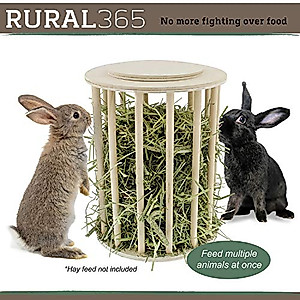 Rural365 Rabbit Hay Feeder Rack for Small Animals, 7.6in Round - Bunny Feeder, Guinea Pig Food Bowl, Chinchilla Hay Bin