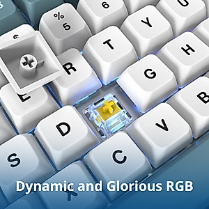 Montech MKey TKL Mechanical Gaming Keyboard: Customizable RGB LED, Premium MDA Profile PBT Keycap, Hot-Swappable Gateron G Yellow Pro 2.0 Pre-lubed Switches, Osaka Castle Theme, Freedom (MK87FY)