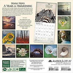 Mark Nepo 2021 Wall Calendar: A Year of Awakening