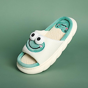 Gaolinci Cartoon Animal Shape Slippers, Womens Four Seasons Home Linen Slippers (Frog-US 8-9)