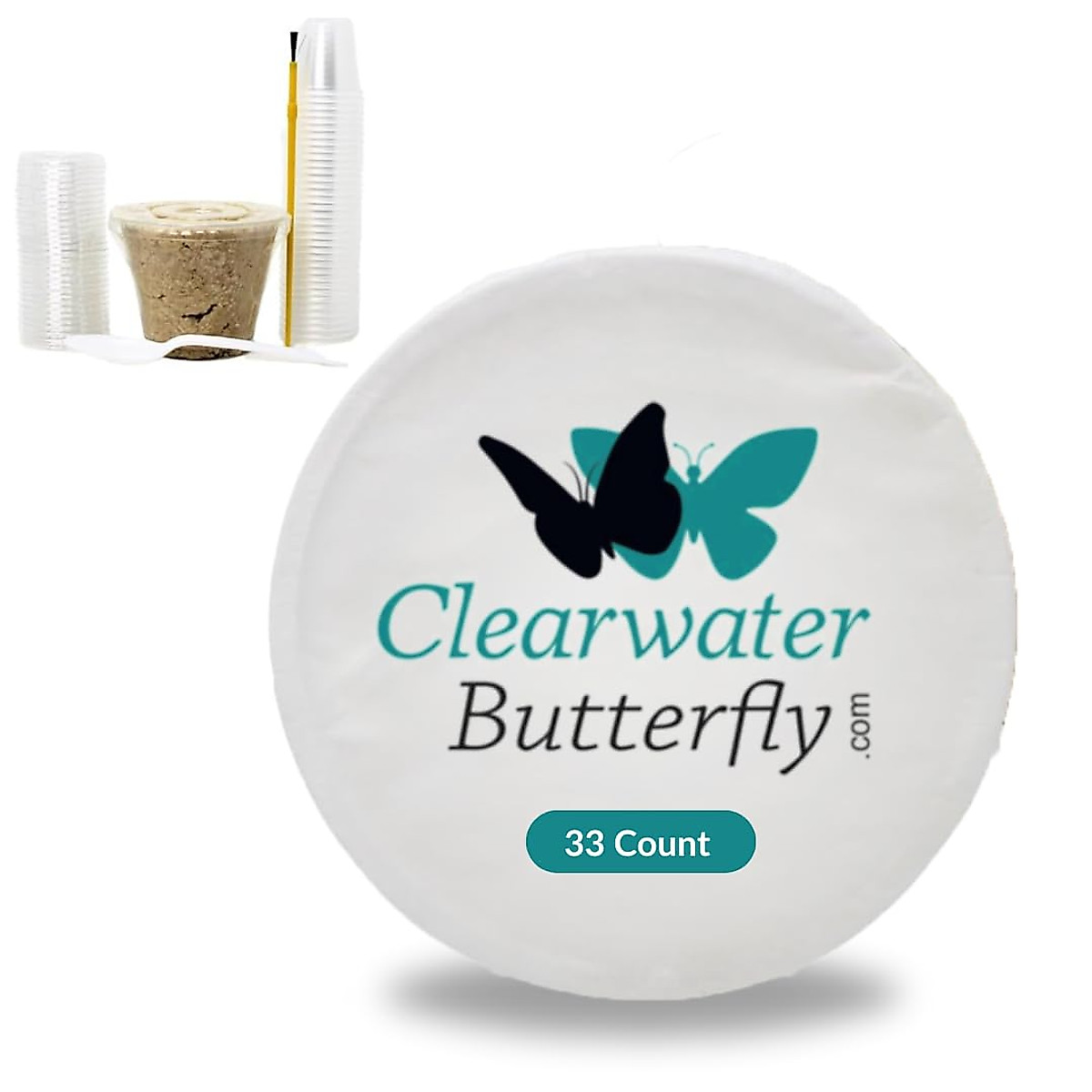 Clearwater Butterfly Live Painted Lady Butterflies - 33 Live Caterpillars Kit - Live Caterpillars to Butterflies - Classroom/School Kit & Habitat - (Suitable for All Ages)