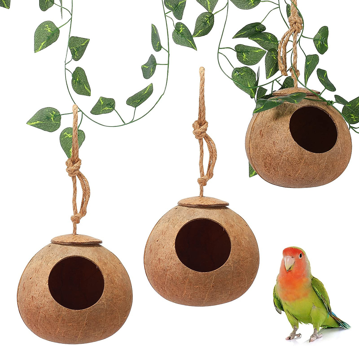 Skylety 3 Pcs Coconut Bird Nest Hut Hanging Bird House Coconut Hide with 6.9 Feet Fake Vines Coconut Fiber Shell Small Bird Cage Accessories for Parrot Parakeet Canary Reptile Crested Gecko Hamster