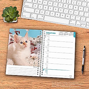 Kittens | 2023 6 x 7.75 Inch Spiral-Bound Wire-O Weekly Engagement Planner Calendar | New Full-Color Image Every Week | BrownTrout | Animals Cats Pets