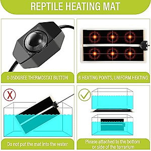 Reptile PC Terrarium, Amphibians Habitat Cages 12 x 8 x 6.3 Starter Kits, Top Sliding Door Ventilation Tanks with Heating Mat, Stainless Steel Tweezer