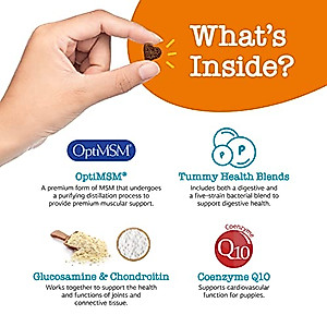 Zesty Paws Puppy 8-in-1 Multivitamin Soft Chews - Glucosamine & Chondroitin for Hip & Joint Health - Omega 3 Fish Oil for Skin - Gut, Immune, Heart, Kidney & Liver Support for Puppies - 90 Count