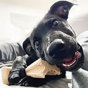 SPOT by Ethical Products 4 in Bambone Plus Easy Grip Peanut Butter, Beef & Chicken Dog Chew Bundle - Bamboo & Nylon Anti Anxiety Bone for Aggressive Chewers & Dental Health for Dogs - Small (4 Pack)