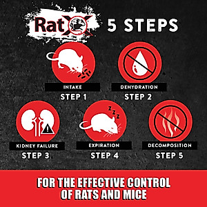 EcoClear Products 620104, RatX All-Natural Non-Toxic Humane Rat and Mouse Pellets, Ready-to-Use Pre-Measured 3 oz. Bait Trays, 2-Pack
