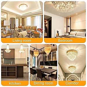 LFLAMPON G9 LED Bulb Dimmable 8W, 60-80 Watt T4 G9 Halogen Equivalent, 2700K Soft Warm White, Ceramic G9 Bi Pin Base, 120V 800LM for Chandelier Ceiling Pendant Lighting(5 PCS)