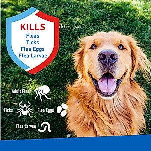 Adams Flea & Tick Spray For Dogs and Cats | Kills Fleas and Ticks Through Contact, Kills Flea Eggs, Flea Larvae, and Prevents Flea Egg Hatch | Controls Flea Reinfestation For Up To 2 Months | 16 Oz