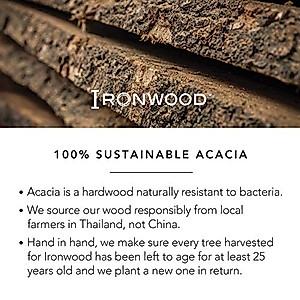 Ironwood Lucca Mini Pizza Peel, One Size, Acacia Wood