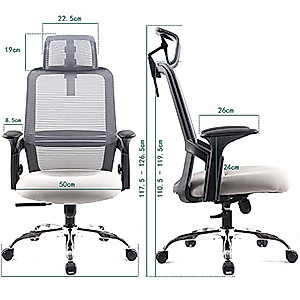 Ergonomic Mesh Office Chair,High Back Desk Computer Chair Adjustable Neck Head,Armrest Reclining Chair for Home Office (Grey1)