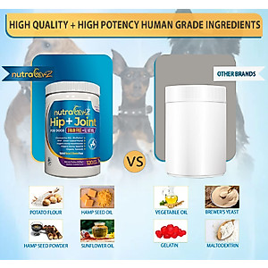 NUTRACHEWZ Grain Free Hip & Joint Supplement for Dogs with Organic Hemp Oil, Glucosamine Chondroitin, Turmeric, MSM, Green Lipped Mussel for Arthritis, Pain Relief, Mobility All Natural - 120 Chews