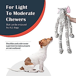 Flourish Pets 3 in 1 Multi-Layer Chew Toy for Active Dogs | Non-Toxic BPA Free Double Stitched Soft Fabric Exterior Dog Toys | Long-Lasting Dog Plush Toys - Long Leg Ellie Elephant (24″)