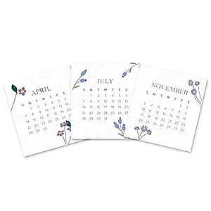 2024 Wall Calendar, Bella Flora Pockets Plus Wall Calendar, 12-Month Calendar, Spiral Desk Calendar Monthly Pocket, by Studio Oh! - Bella Flora (Floral Calendar)