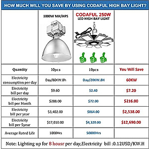 CODAFUL LED High Bay Light 8 Panels 300W LED Garage Lights with US Plug 5ft Cable 85-277V, Light for Wet Location Warehouse Residential Barn Factory Workshop, Shop Lighting (250W-1Pack, Silvery)