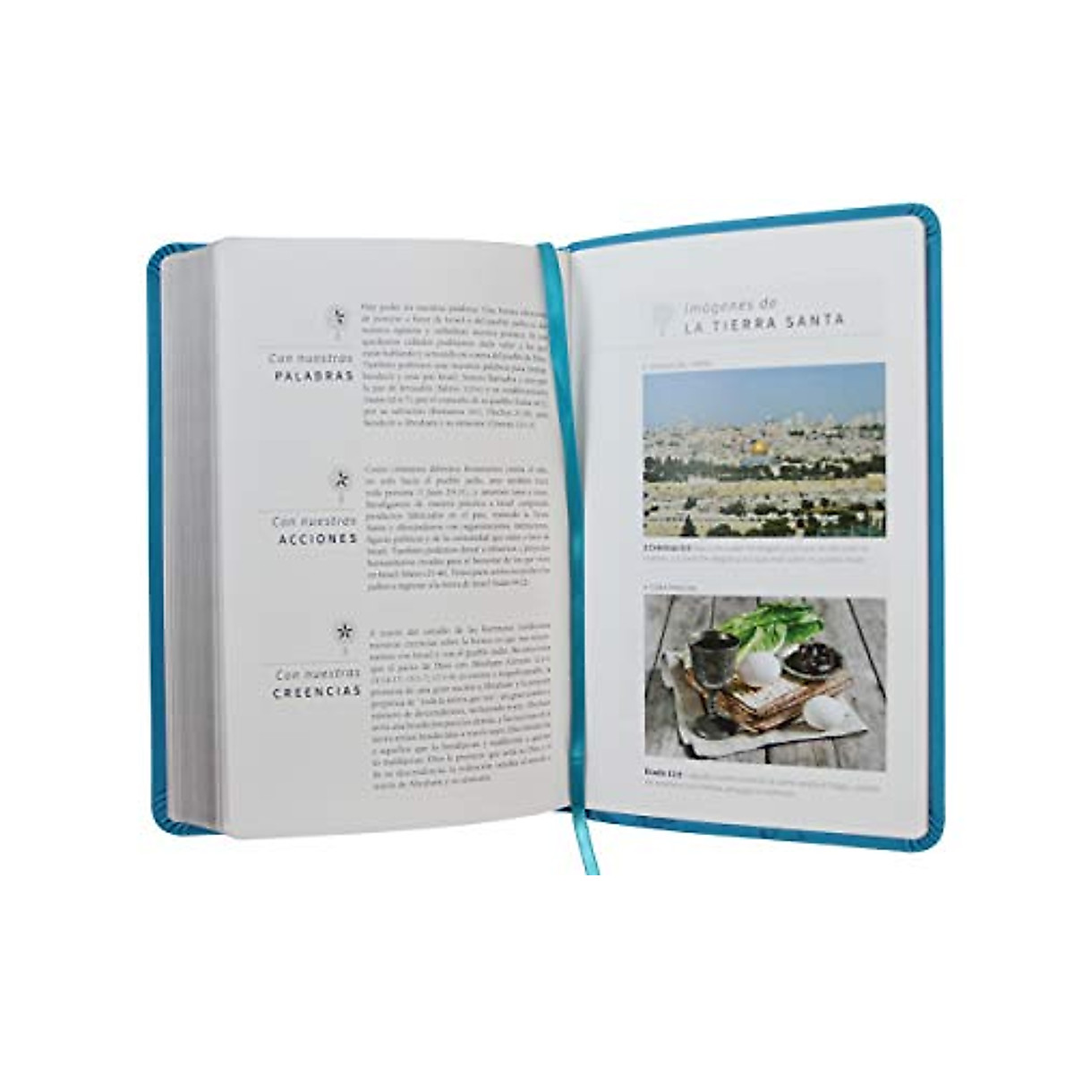 Biblia Reina Valera 1960 letra grande. Símil piel azul, tamaño manual / Spanish Holy Bible RVR 1960. Handy Size, Large Print, Blue Leathersoft