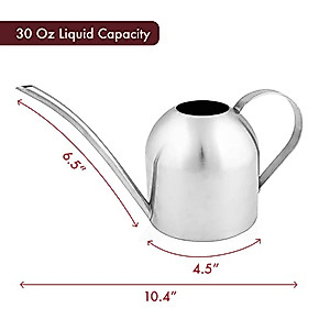 Homarden Stainless Steel Watering Can, Long Spout for No Spillage, Indoor/Outdoor Plants, Ideal 30 oz.