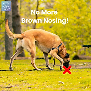 Deterrent for Dogs Eating Poop - Coprophagia No Poo Chews Prevent Dog from Eating Stool - Chew Enhanced with Breath Freshener, Enzymes, & Probiotics to Help Ease and Stop This Nasty Habit | 60ct