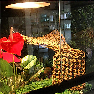 kathson Reptile Lizard Hammock,Reptile Lizard Lounger Hammock