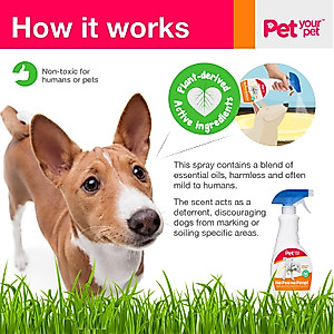 PET YOUR PET No Pee No Poop Dog Potty Training Spray, 16 Fl Oz – Non-Toxic Dog Spray to Prevent Peeing and Pooping – Natural No Marking Scent Spray - Stops Dogs Peeing Indoors/Outdoors