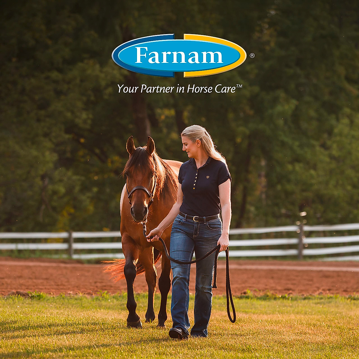 Farnam Next Level Horse Joint Supplement for Horses & Dogs, Helps Maintain Connective Tissue to Ease Joint Stiffness Due to Daily Activity, 32 oz, 32 Day Supply