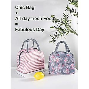 WOOMADA Insulated Lunch Bag for Women Men Reusable Waterproof Lunch Box Cooler Tote Bag with Pockets for Office Work, Picnic, Travel (flamingo)