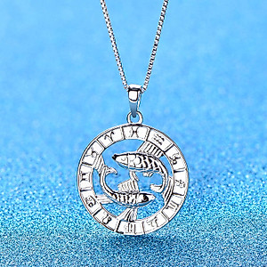 YL Pisces Constellation Necklace Sterling Silver Zodiac Jewelry Astrology Coin Horoscope Pendant for Women