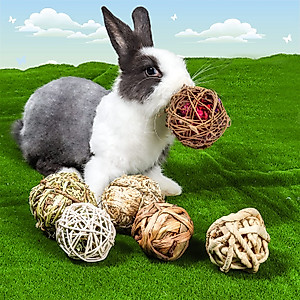 DAMPET Small Animals Play Balls, Chew Grass Balls & Rolling Chew Toys for Bunny, Improve Pets Dental Health for Rabbit, Chinchilla, Guinea Pigs, Hamsters, Gerbils, Rats, Mice (6 Pieces)