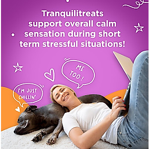 First Impressions Tranquilitreats - Calming Chews for Dogs, Anxiety Relief for Dogs - Packed with Chamomile, Ginger, Melatonin - Soft, Tasty, Chill-Out Calming Dog Treats - 60 ct