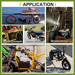 BtrPower 48V LiFePO4 Ebike Battery 20AH Lithium Battery Pack for 1500W-350W Motor, Built-in 40A BMS and 3A Fast Charger