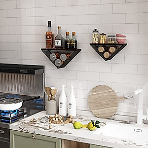 EXYGLO Triangle Floating Wall Mounted Shelves for Plants Storage Bathroom Bedroom Living Room, Set of 2