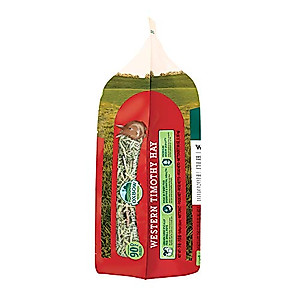 Oxbow Animal Health Western Timothy Hay - All Natural Hay for Rabbits, Guinea Pigs, Chinchillas, Hamsters & Gerbils -Veterinarian Recommended- Grown in the USA-90 oz.