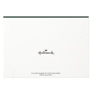 Hallmark Boxed Christmas Cards Assortment, Holiday Icons (48 Cards with Envelopes) (1XPX5173)