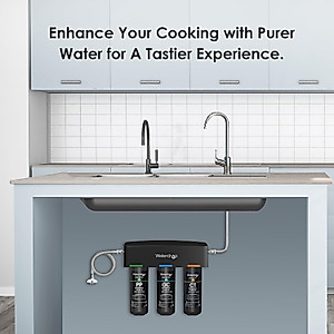 Waterdrop TSA 3-Stage Replacement Water Filter, Replacement for Waterdrop TSA & TSB & TSB-CM 3-stage Under Sink Water Filtration System, 2PP+GC