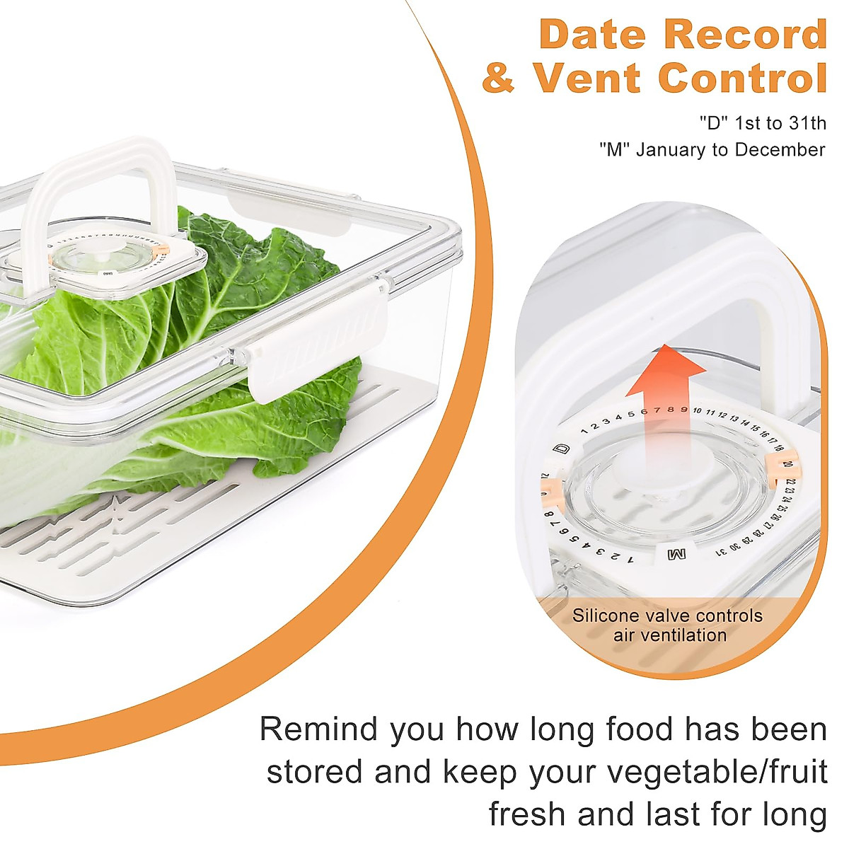 MOLINGRITAR Fruits Storage Container for Fridge, Plastic Refrigerator Organizer Bins Set of 3, Fresh Produce Saver Containers with lid and Handle, Time Dial and Vent Control Crisper Box