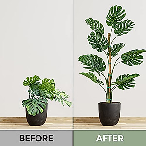 K-Brands 2 Pack Moss Pole - 46'' Monstera Plant Support - Moss Pole for Plants Monstera - Moss Poles for Climbing Plants - Bendable Plant Sticks Support - Plant Stakes for Indoor Plants