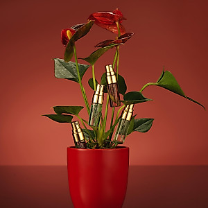 LOVERY Gifts for Women, Perfume Sampler for Women, 12pc Perfumes for Women and Men, Fragrance Sets, Floral Perfume Samplers for Travel - Birthday Gifts for Women, Gifts for Mom from Daughter