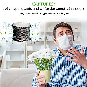 Eagles Replacement Bionair Wick Filter BWF75 Compatible with Holmes HM-3500 3600 3640 3650 3655-White Westinghouse WWHM3300 WWHM3600