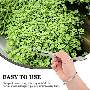 ibasenice Bonsai Long Tweezers,Stainless Steel Tweezer Crafting Tweezer Bonsai Tweezer Tool for Plants Moss Potted