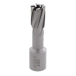 Steel Dragon Tools DNTX-C0625 5/8" x 1-3/8" Carbide Tip Annular Cutter 3/4" Weldon Shank