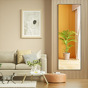 Hasipu Door Mirror Full Length, 51 x 16 Inch Full Body Wall Mirror Over The Door Hanging Mirror for Bedroom, Living Room, Cloakroom