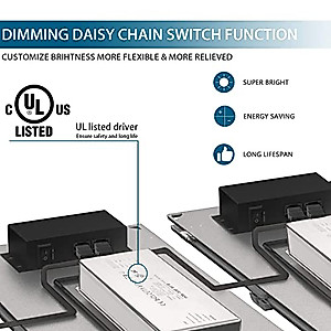 Barrina BU 2000 LED Grow Light, Full Spectrum with IR, 4x4FT Coverage, Dimmable, Adjustable Light Panel, 816 LEDs, High PPFD, Plant Grow Light for Indoor Plants Seedling Growing Flowering Fruiting